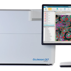Cores | Autophagy, Inflammation and Metabolism Center of Biomedical ...